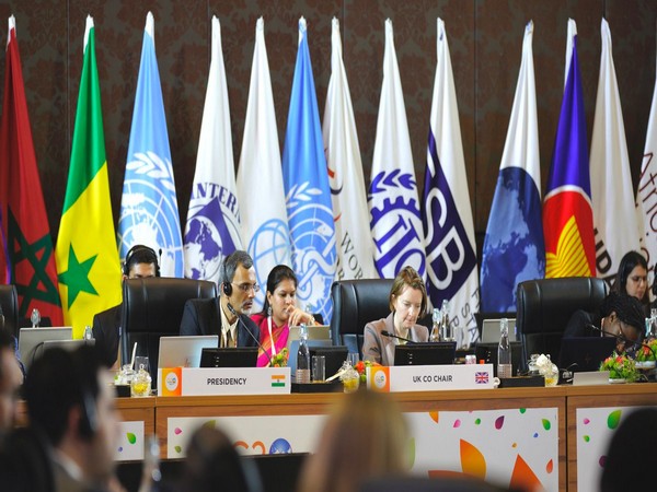 Delegates discuss energy security, climate change at second G20 ...